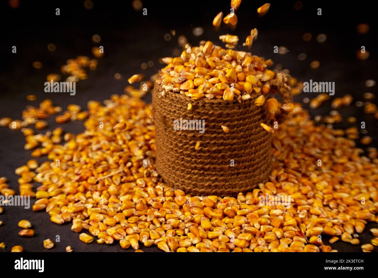 Falling corn grains in a jute bag and scattered grains around on a dark ...