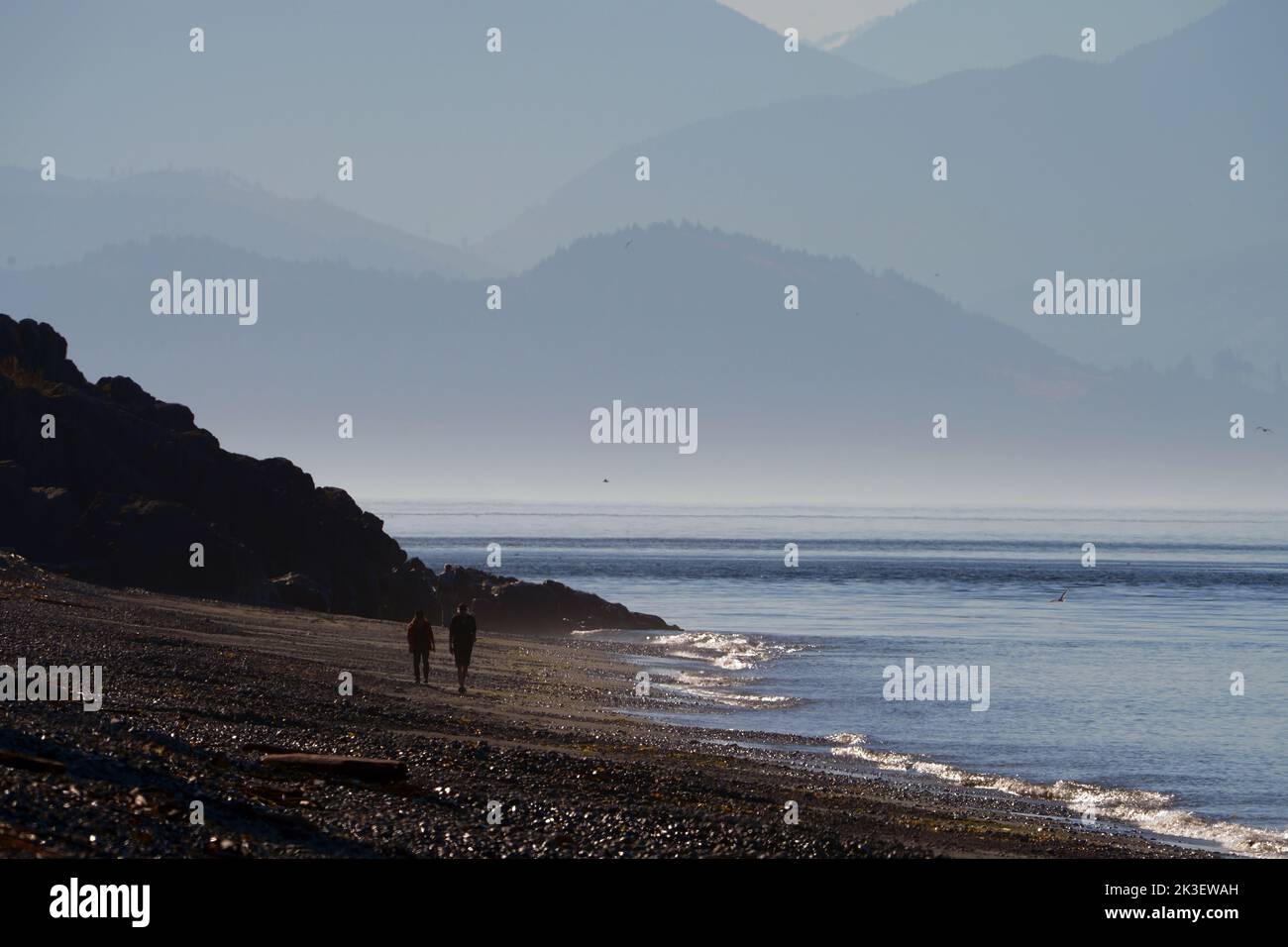People walking on beach Stock Photo - Alamy