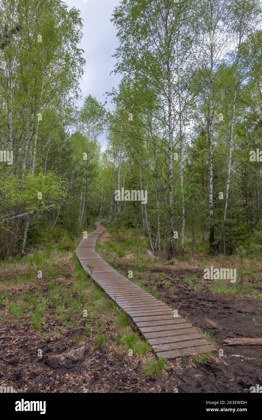 Soumarske raseliniste hi-res stock photography and images - Alamy