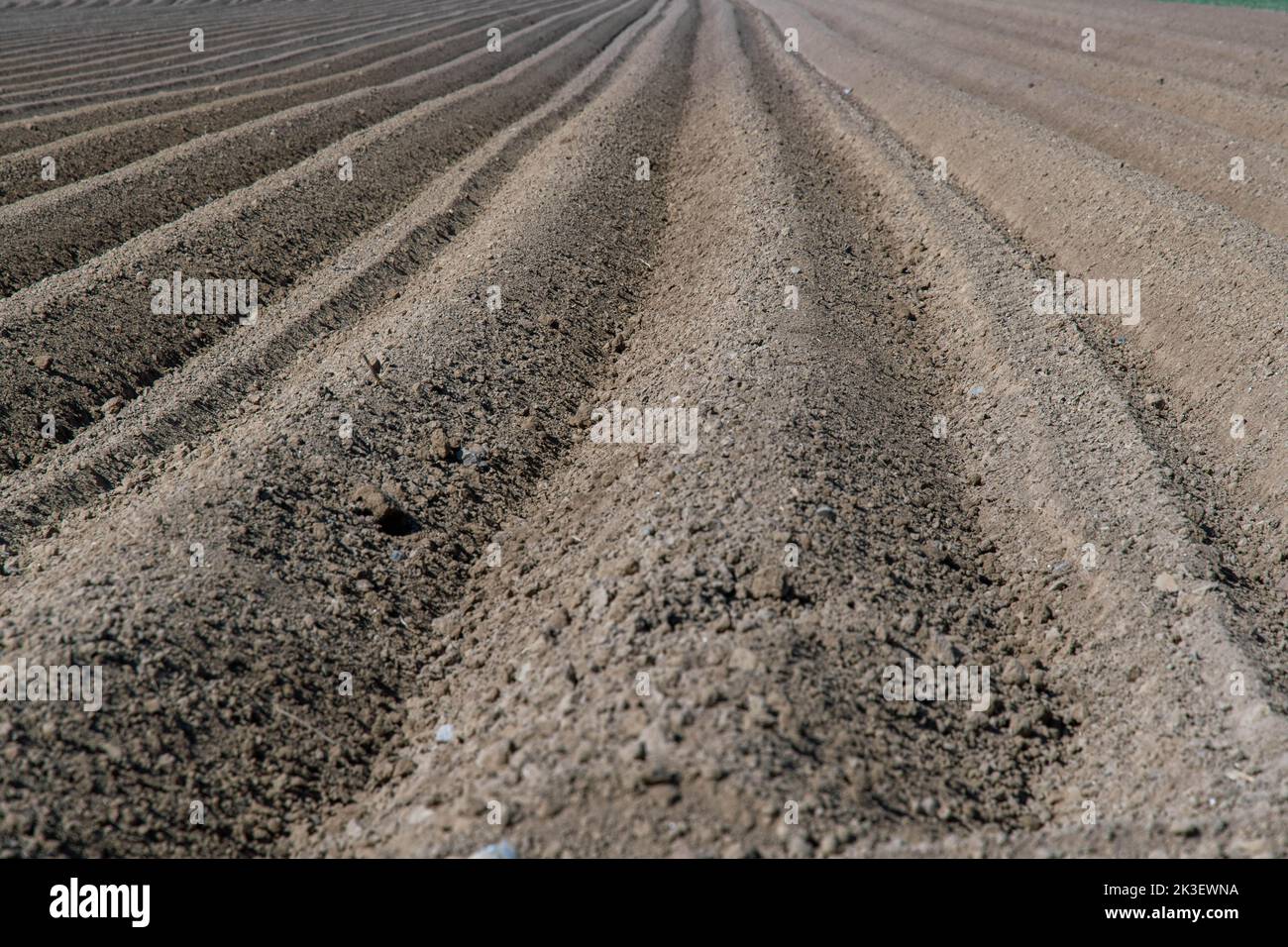 Dry arable soil with furrows Stock Photo - Alamy