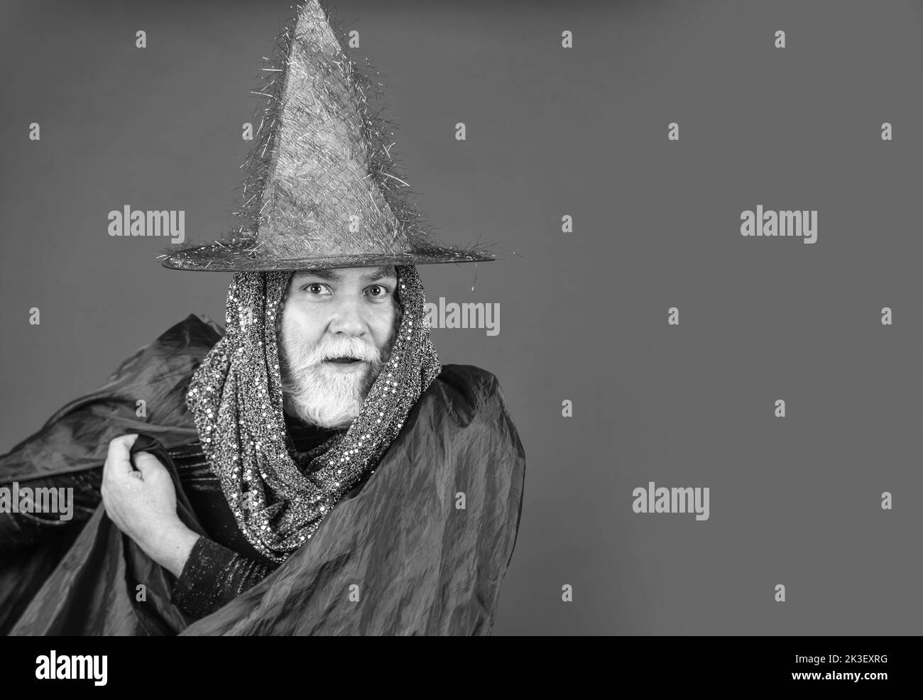 What a night. Halloween wide banner. Halloween decoration and scary ...