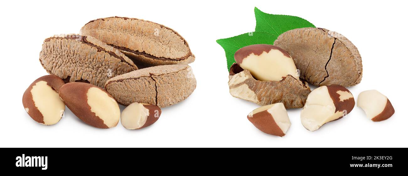 Brasil nuts in nutshell isolated on white background with full depth of ...