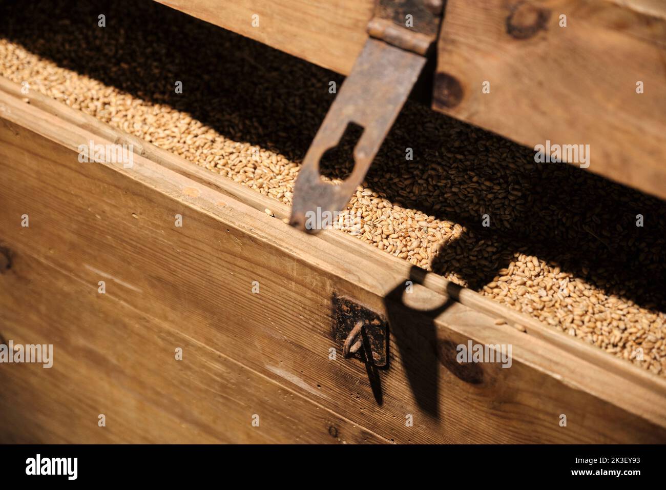 A Large Vintage Grain Bin Storage Chest. Theme of the problem of export ...