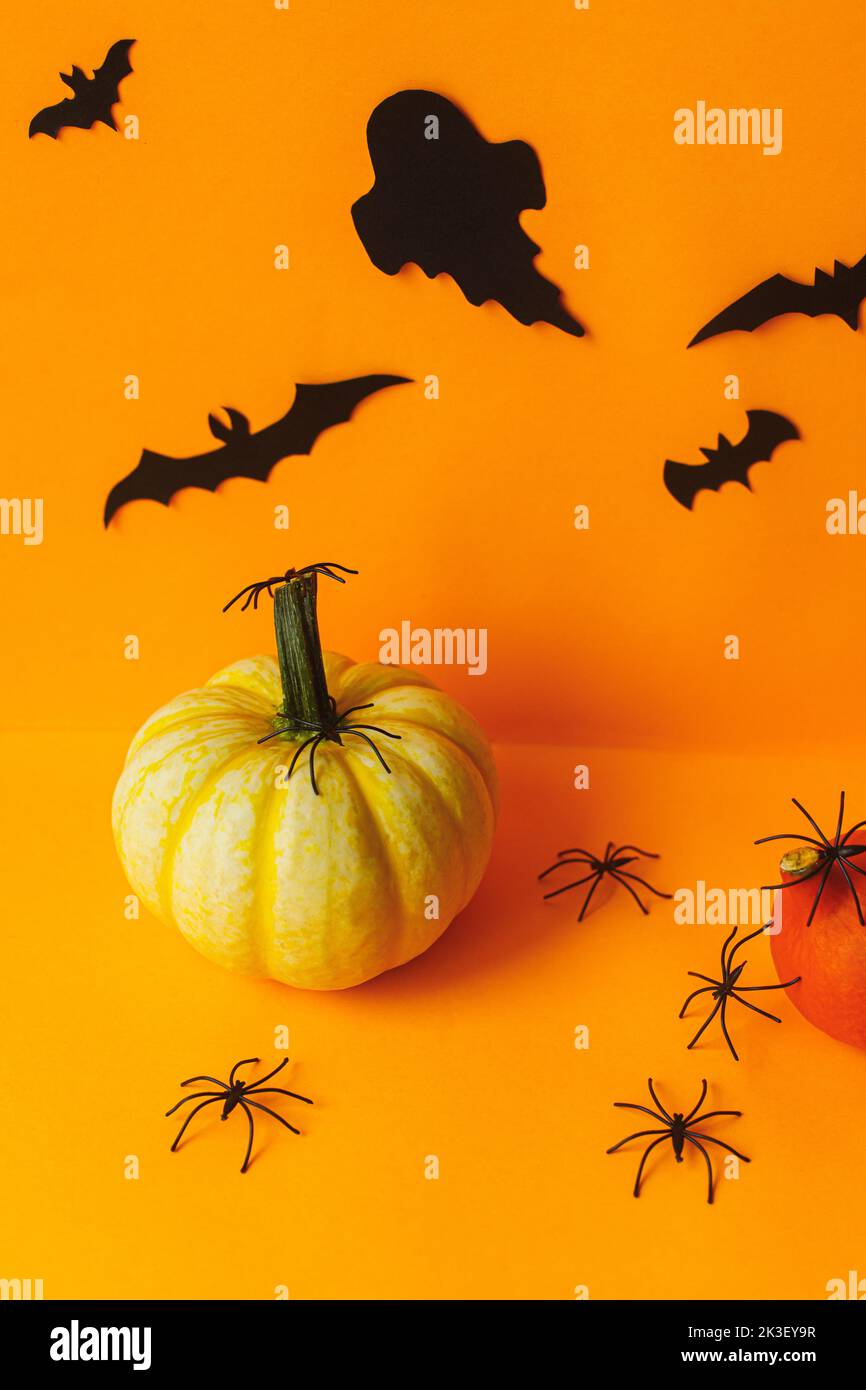 Happy Halloween! Black spiders on pumpkin and ghosts, bats decorations ...