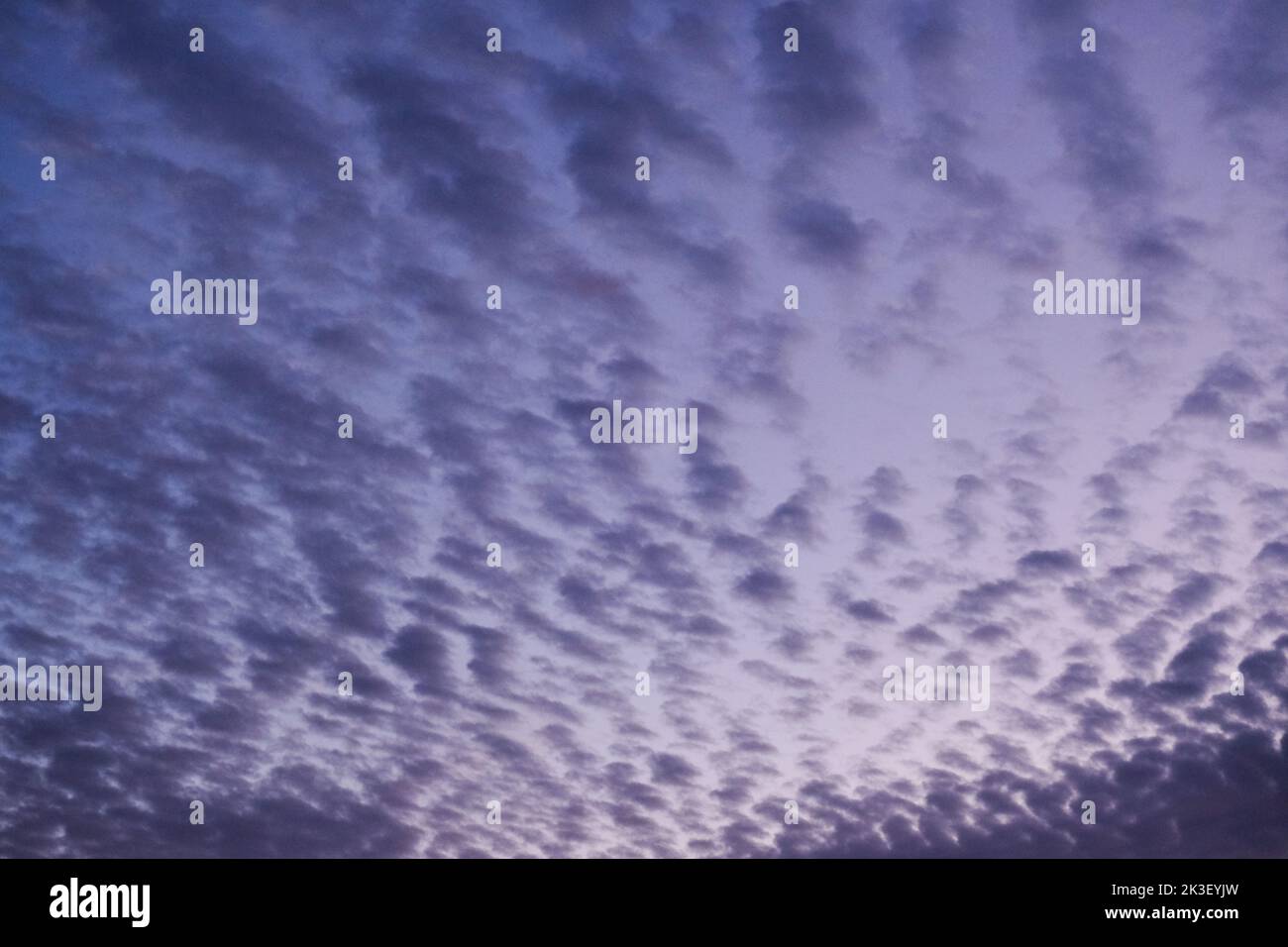 Gradient violet blue black hi-res stock photography and images - Alamy