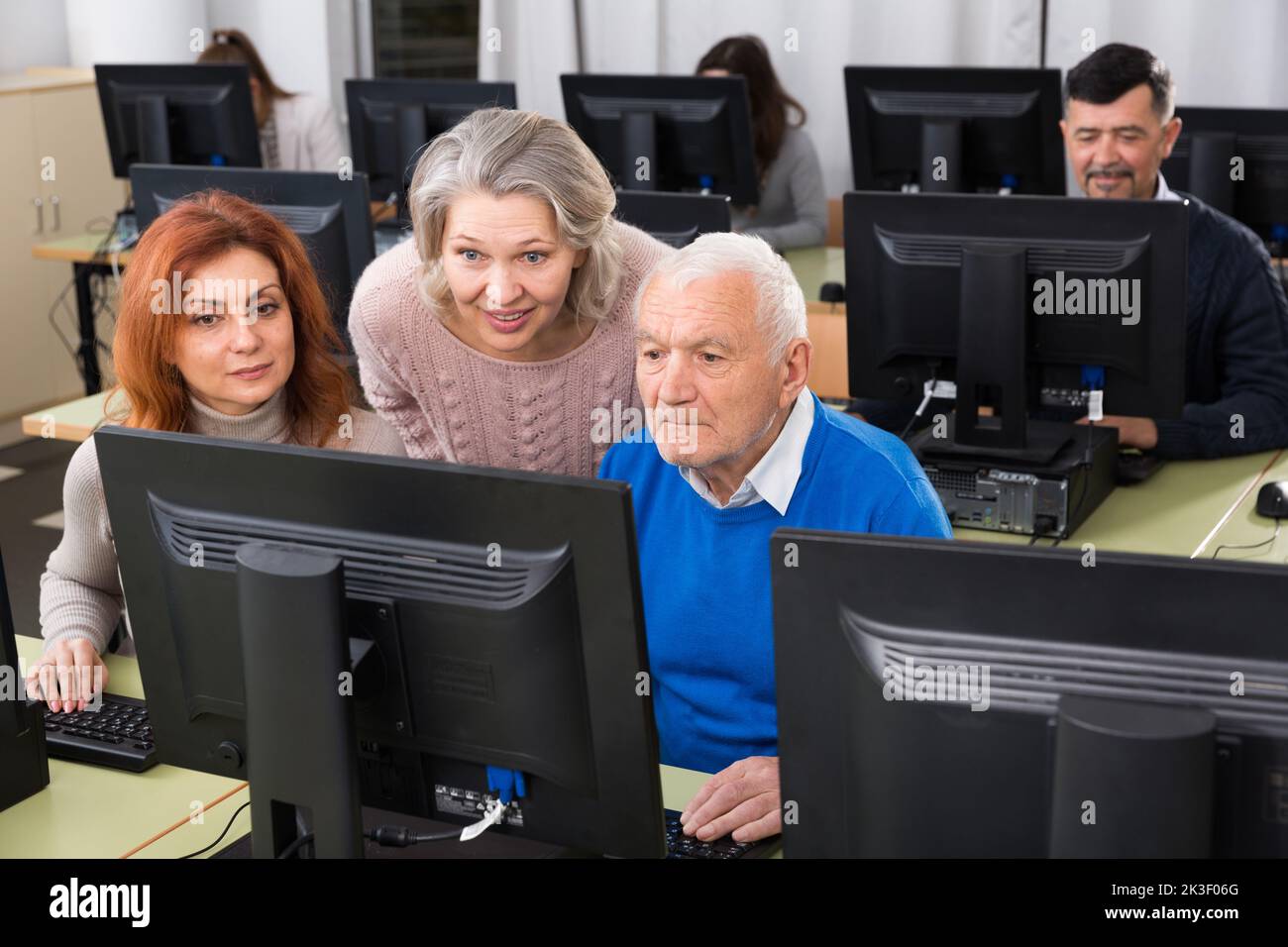 Elderly people working together on computer Stock Photo - Alamy