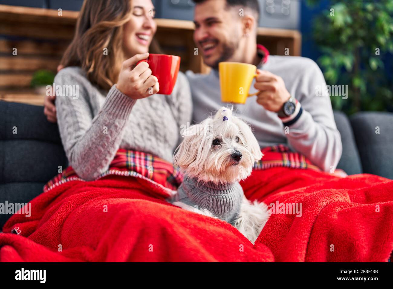 Man and woman drinking coffee sitting on sofa with dog at home Stock ...