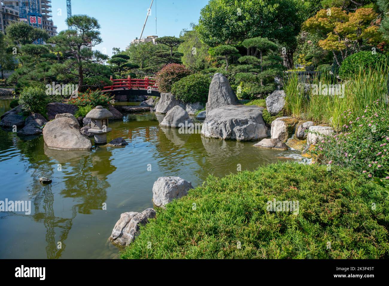 Japanese garden in Monaco and amazing topiary pine trees and japanese ...