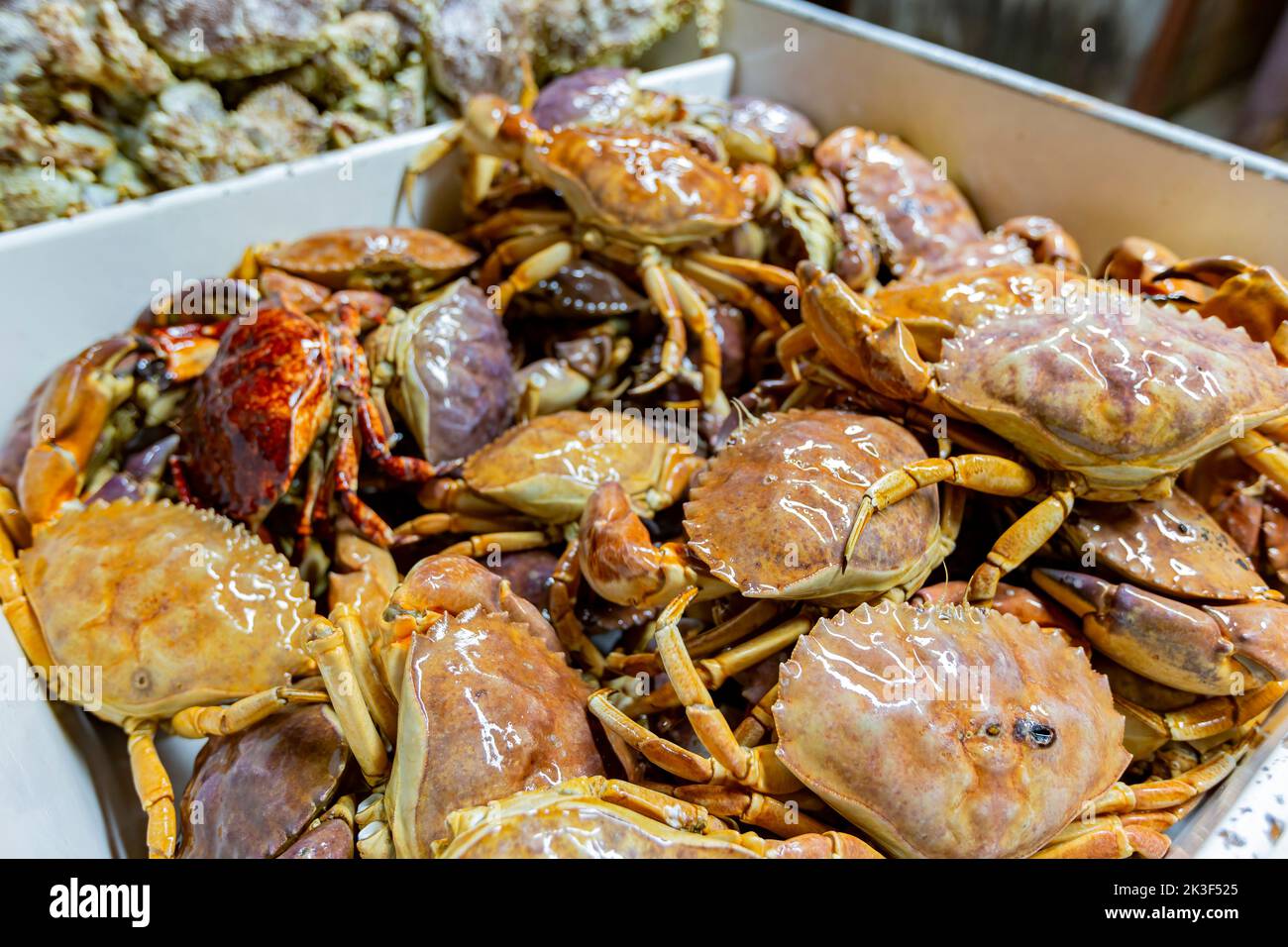California king crab hi-res stock photography and images - Alamy