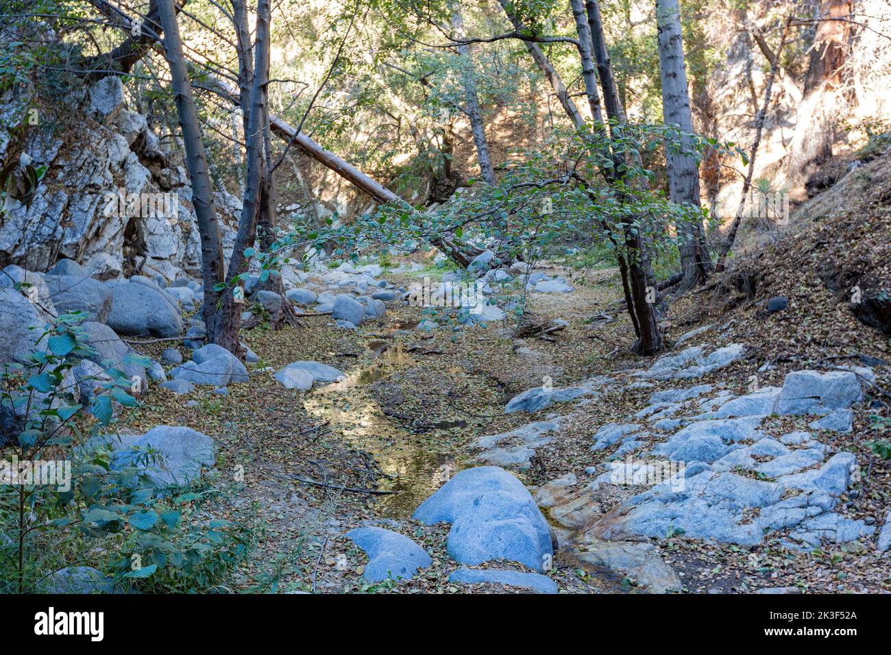 Sunny view of the beautiful Switzer Falls Trail at Los Angeles ...