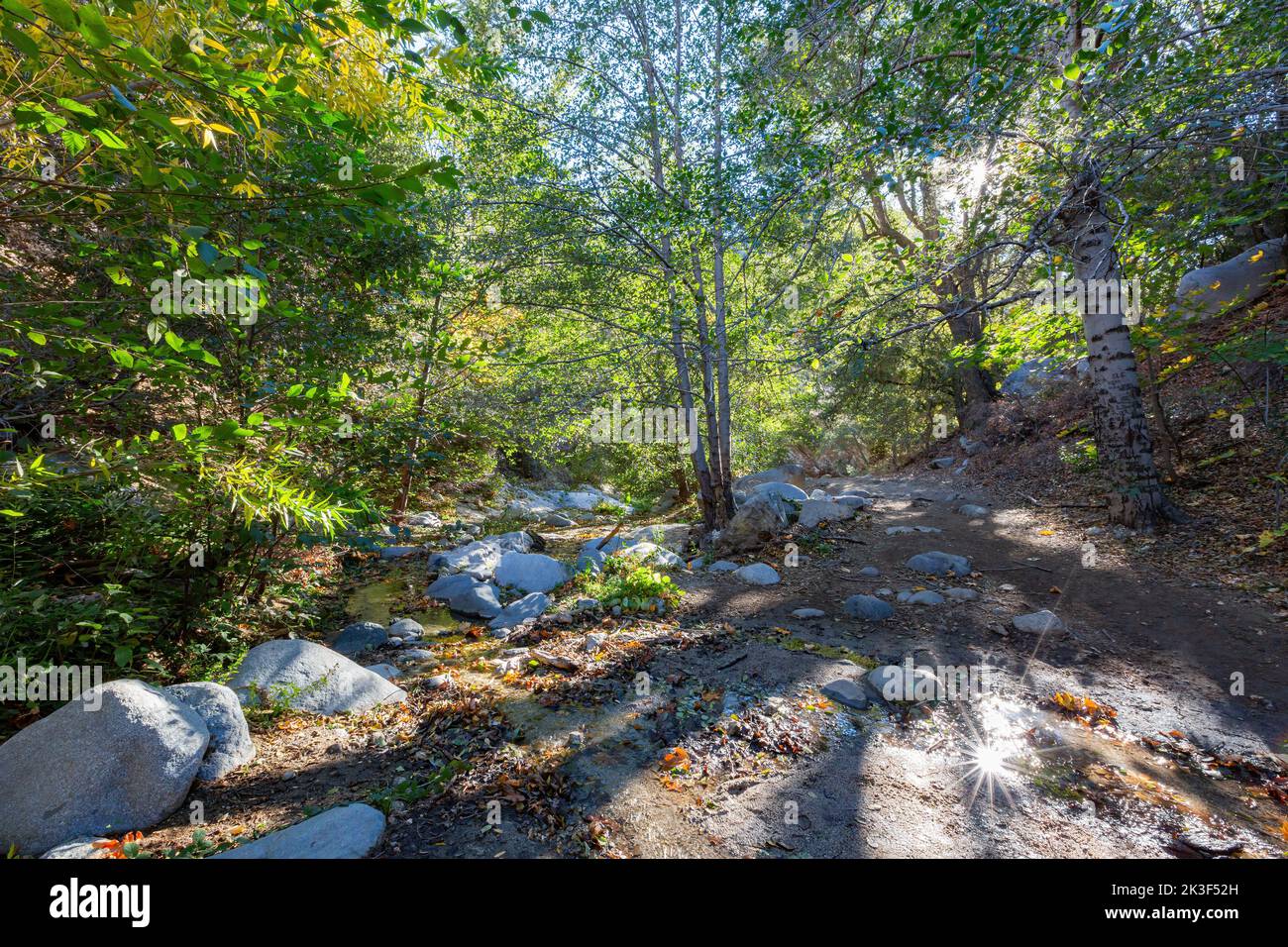 Switzer falls trail hi-res stock photography and images - Alamy