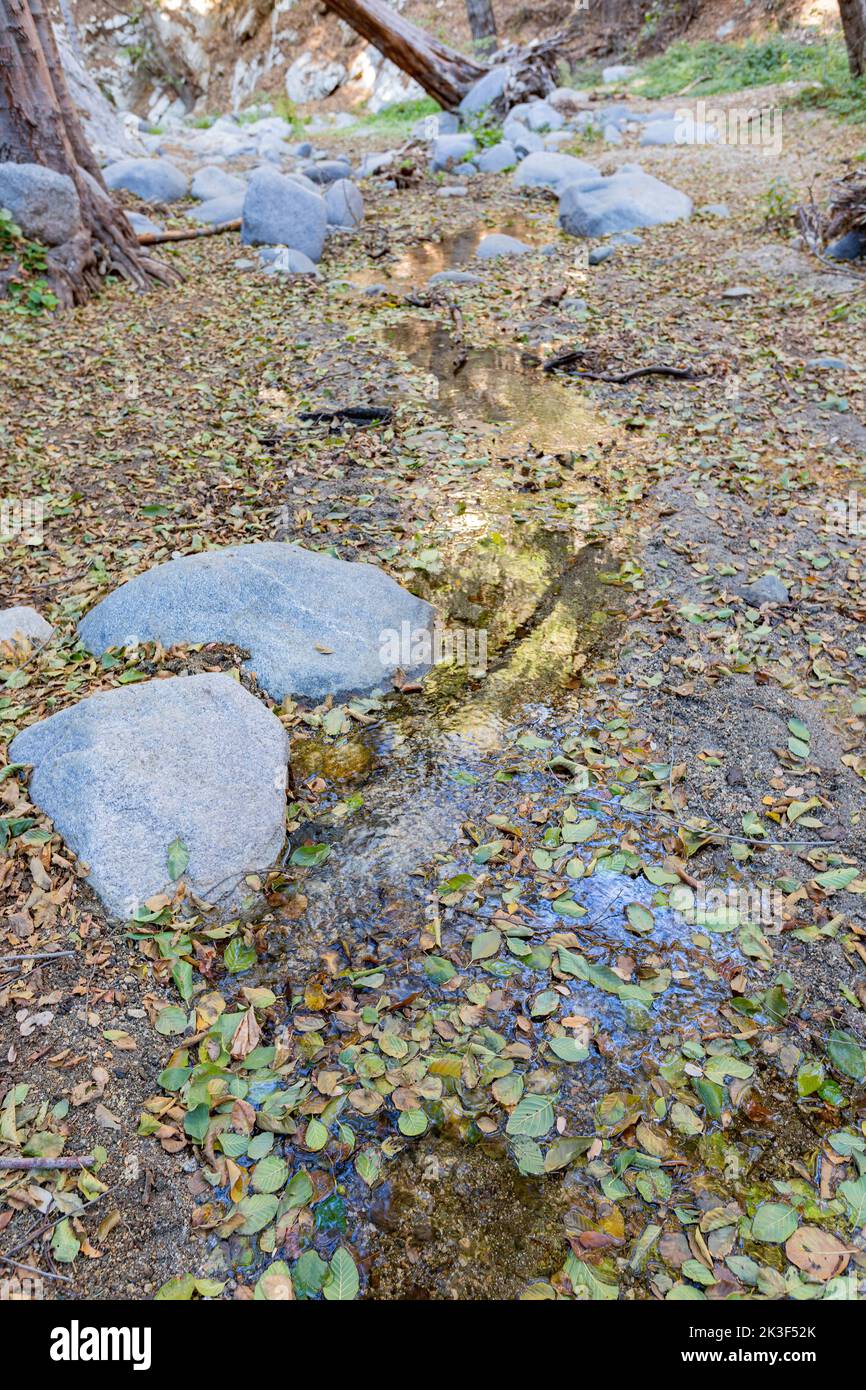 Sunny view of the beautiful Switzer Falls Trail at Los Angeles ...