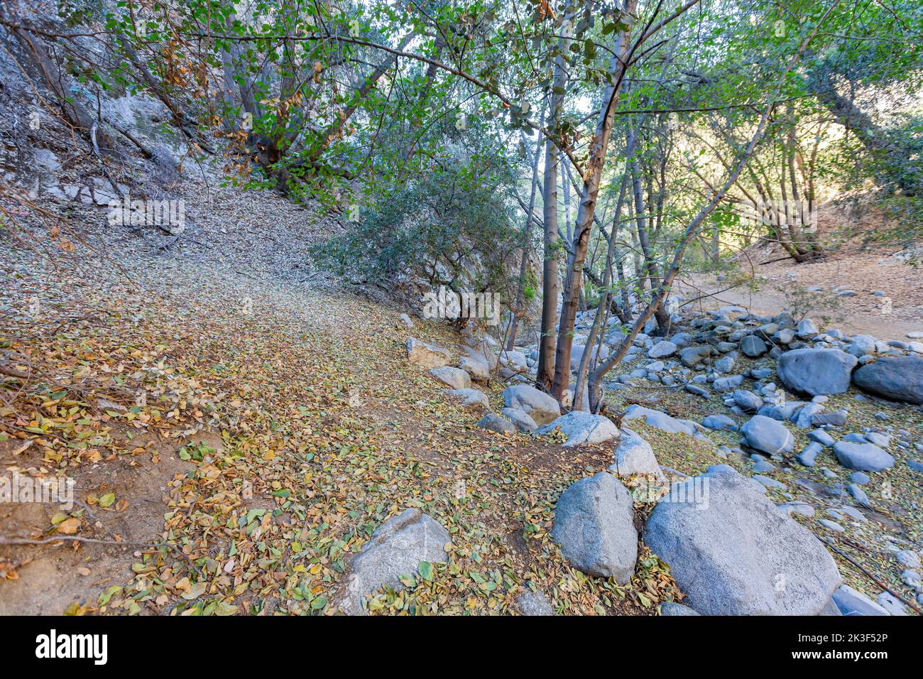 Sunny view of the beautiful Switzer Falls Trail at Los Angeles ...