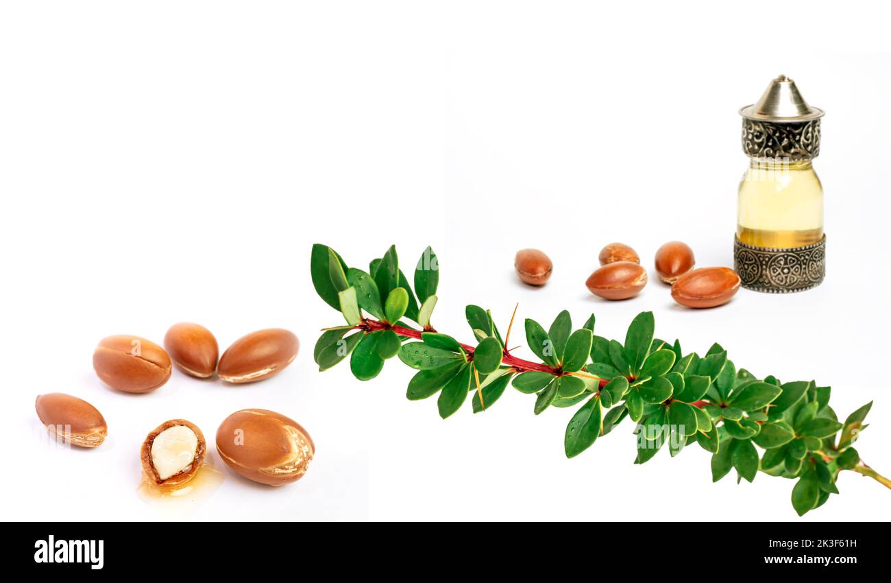 Cosmetic means: authentics oriental bottles with cosmetic oil, argan ...