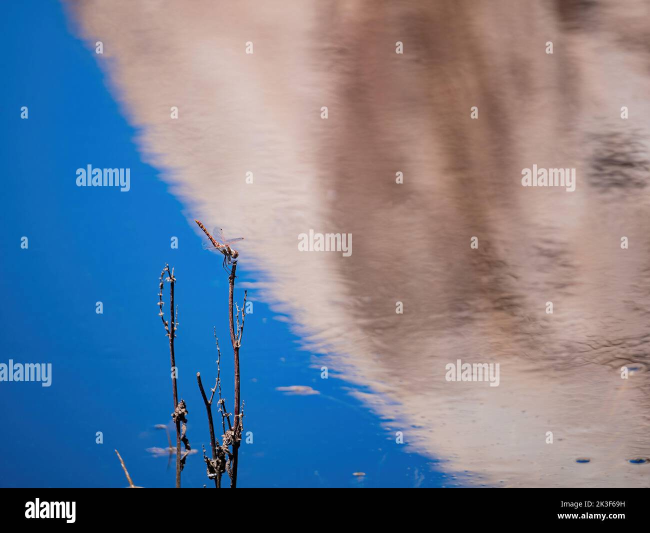 Landscape in Joshua Tree National Park at California, USA Stock Photo ...