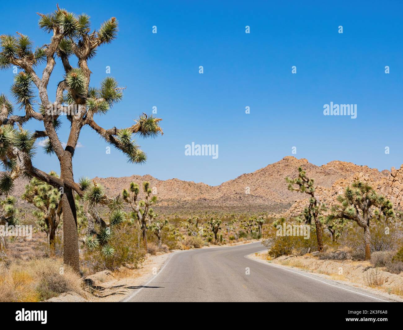 Landscape in Joshua Tree National Park at California, USA Stock Photo ...