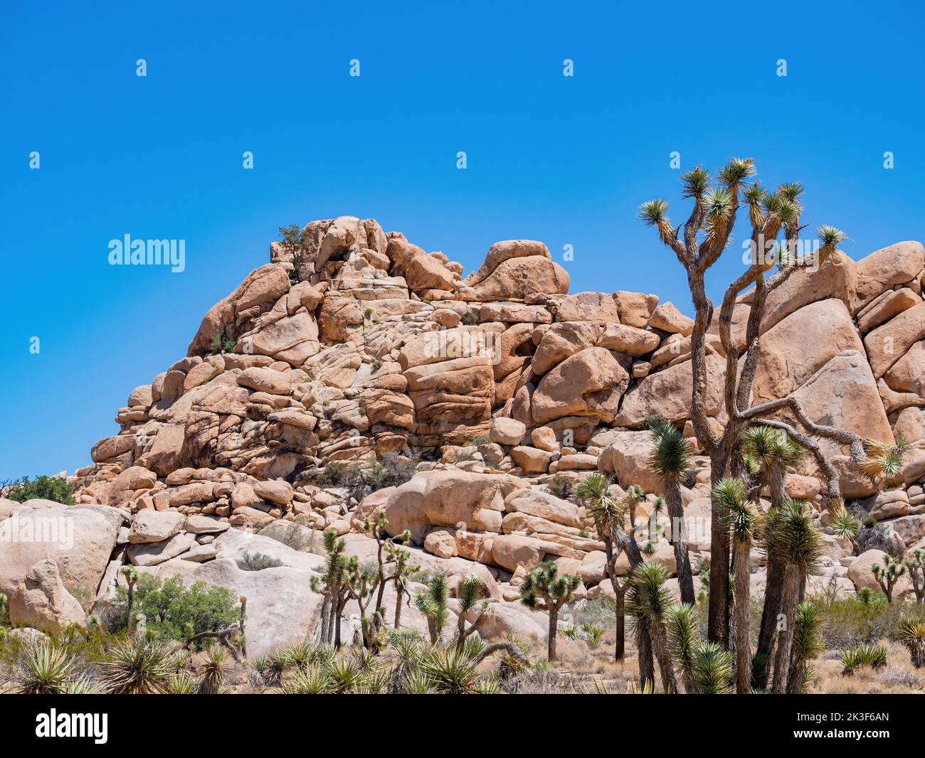Landscape in Joshua Tree National Park at California, USA Stock Photo ...