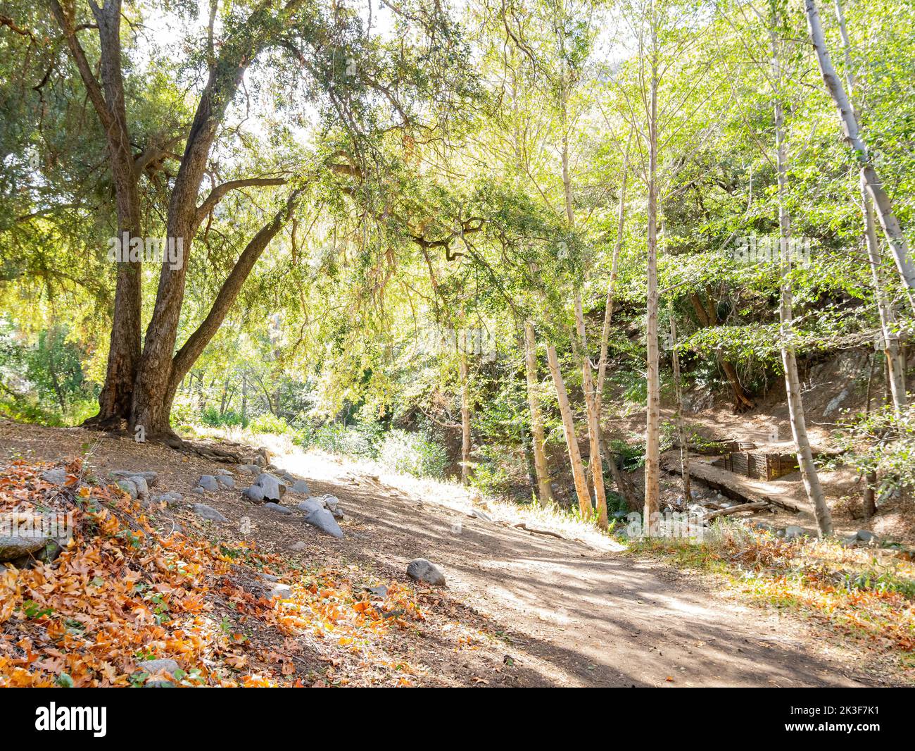 Sunny view of the beautiful Switzer Falls Trail at Los Angeles ...