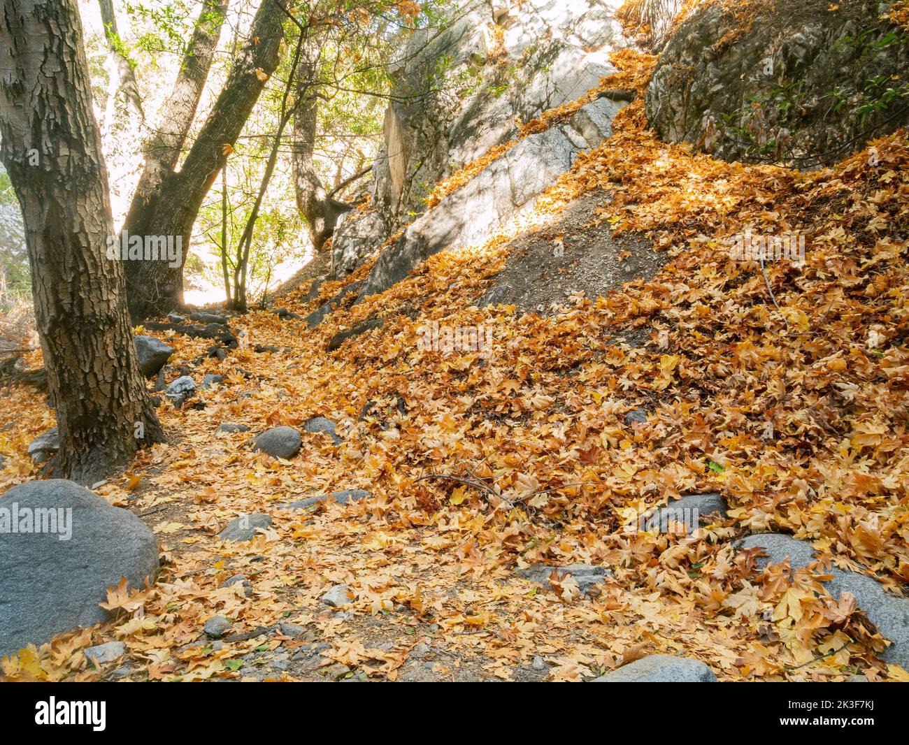 Switzer falls trail hi-res stock photography and images - Alamy