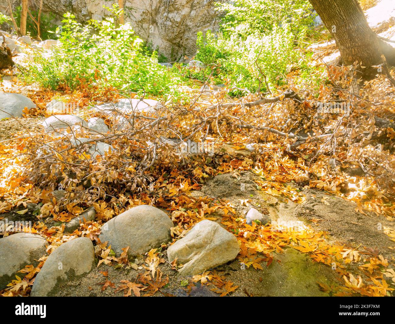 Switzer falls trail hi-res stock photography and images - Alamy