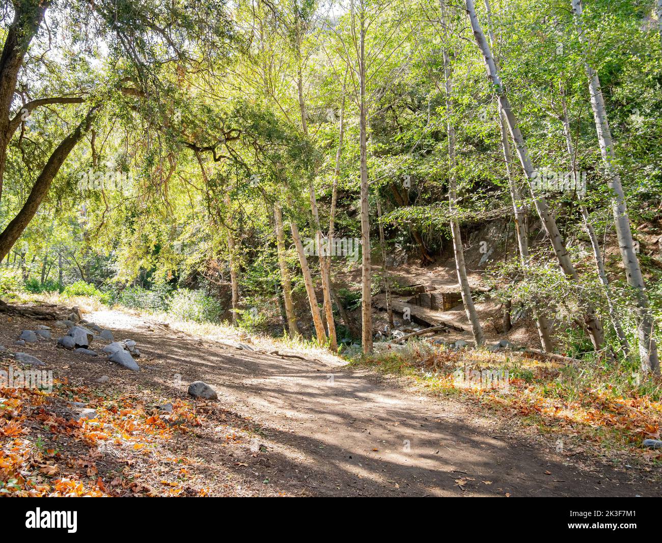 Switzer falls trail hi-res stock photography and images - Alamy