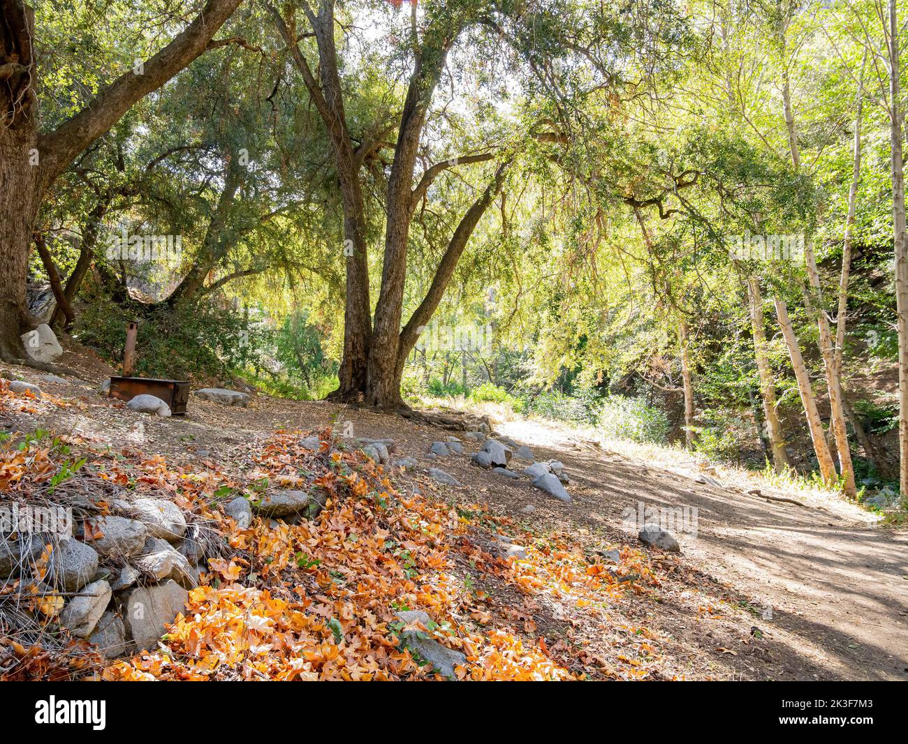 Switzer falls trail hi-res stock photography and images - Alamy