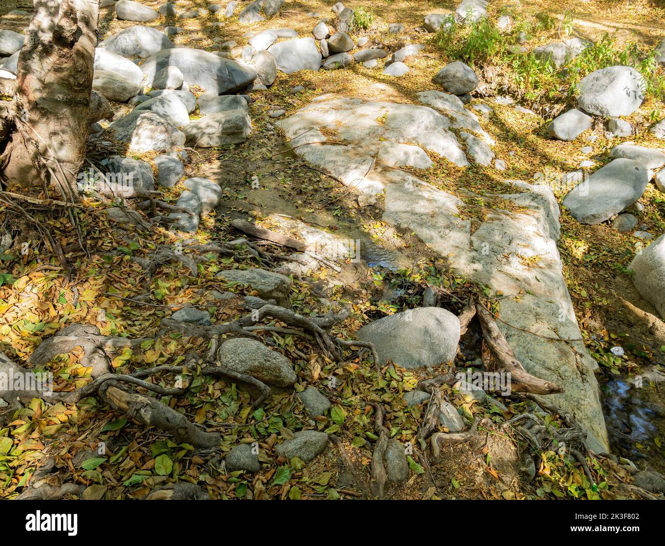 Switzer falls trail hi-res stock photography and images - Alamy