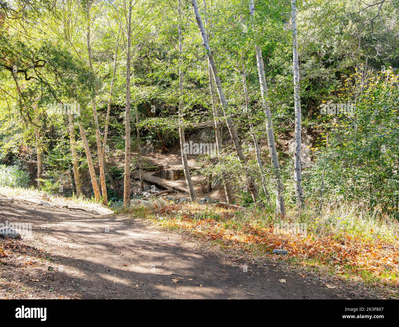 Sunny view of the beautiful Switzer Falls Trail at Los Angeles ...
