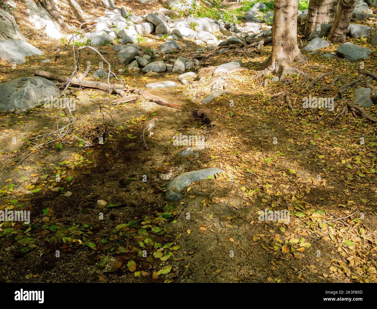 Sunny view of the beautiful Switzer Falls Trail at Los Angeles ...