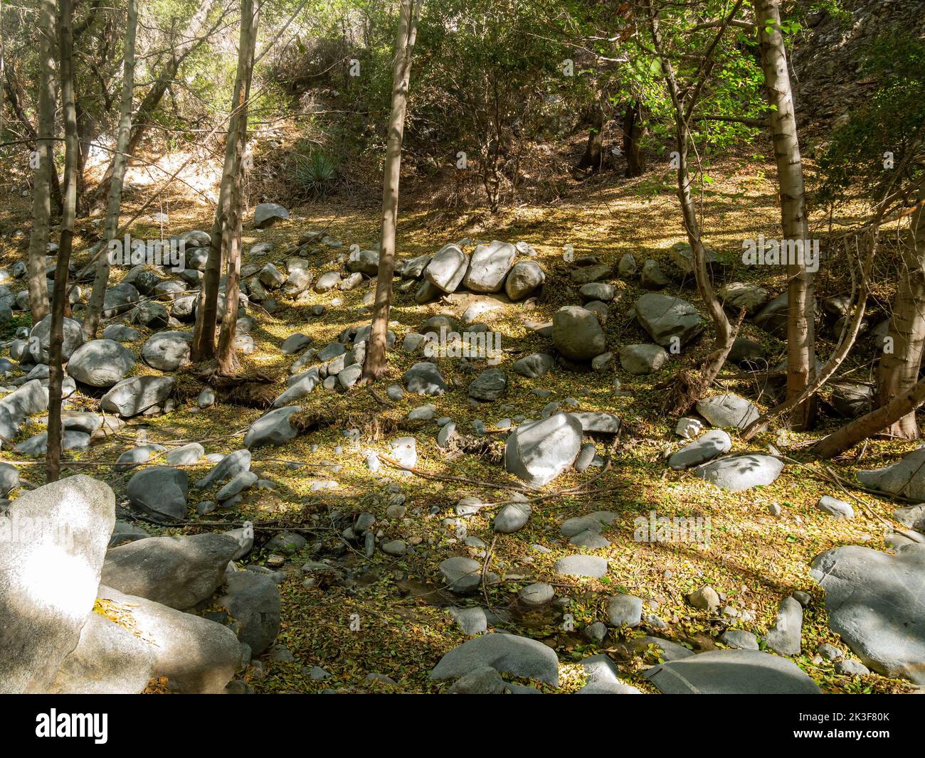 Sunny view of the beautiful Switzer Falls Trail at Los Angeles ...