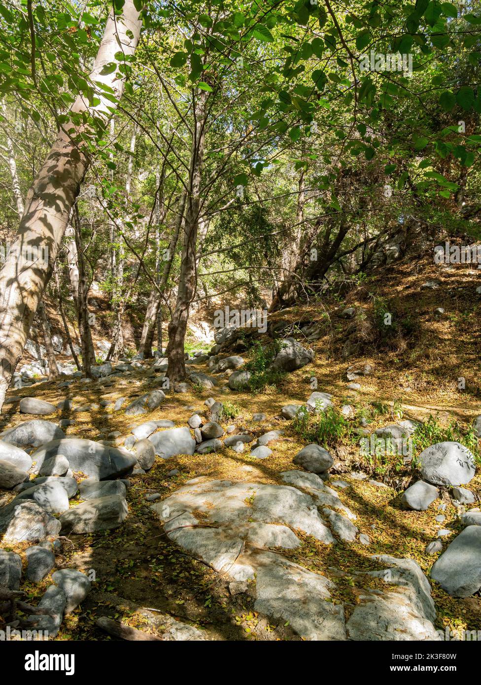 Sunny view of the beautiful Switzer Falls Trail at Los Angeles ...