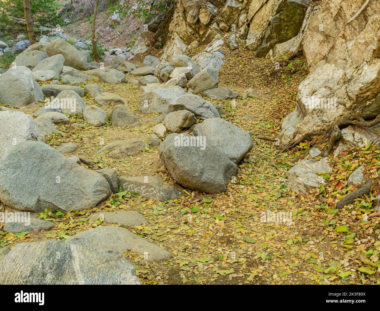 Switzer falls trail hi-res stock photography and images - Alamy
