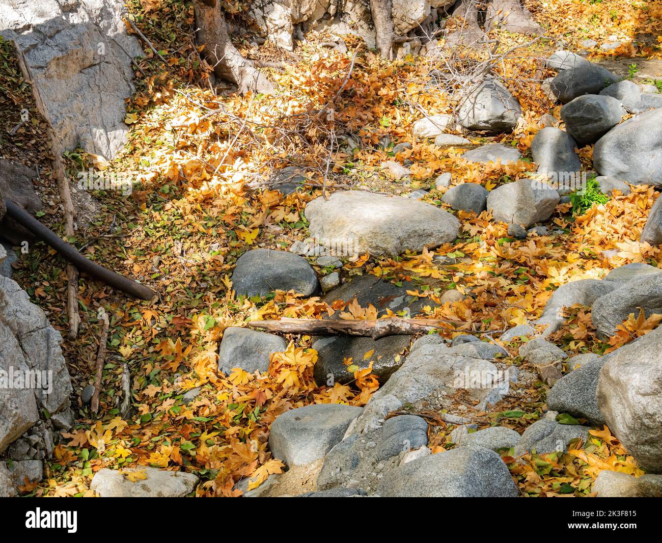 Switzer falls trail hi-res stock photography and images - Alamy