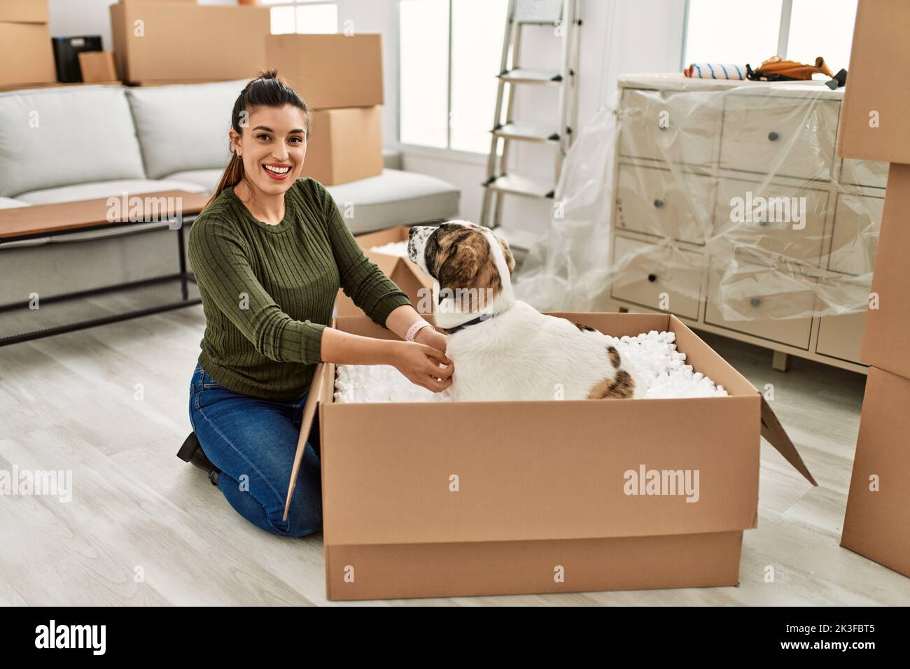 Young woman smiling confident playing with dog at home Stock Photo - Alamy