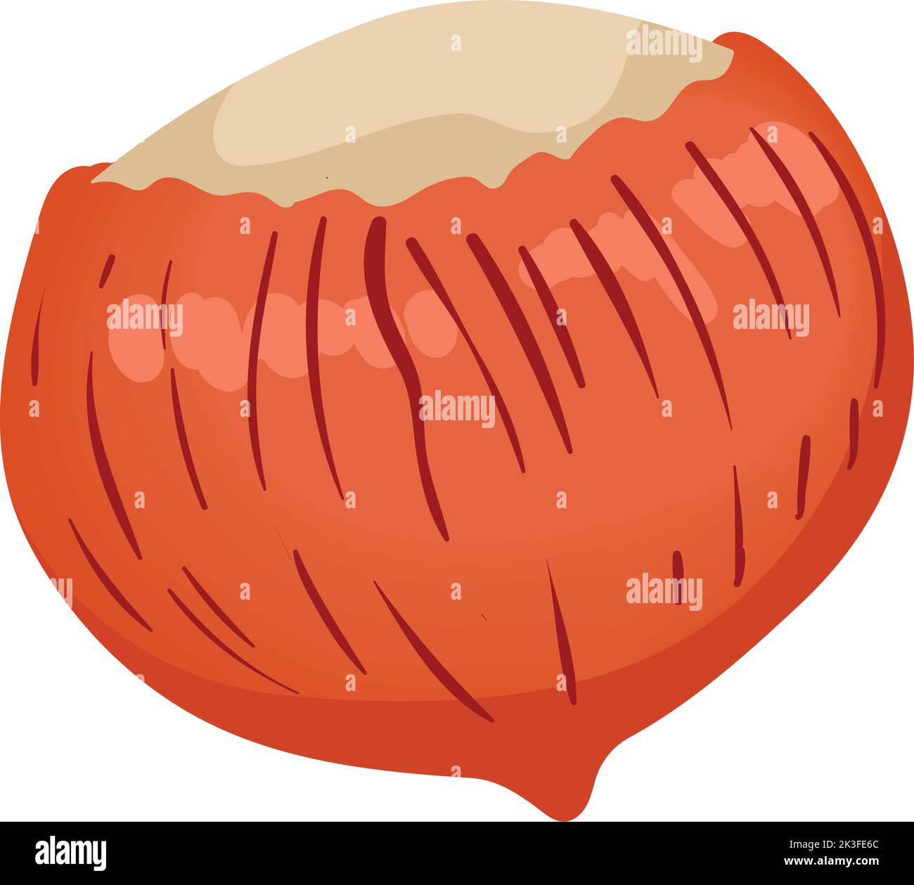 chestnut seed organic product Stock Vector Image & Art - Alamy