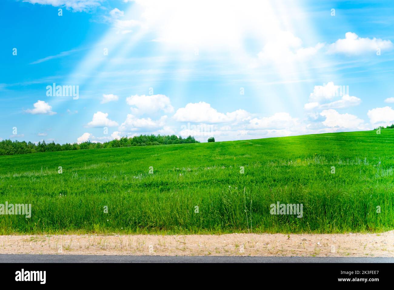 Green field and sunbeams like sun rays. The concept of good mood and ...
