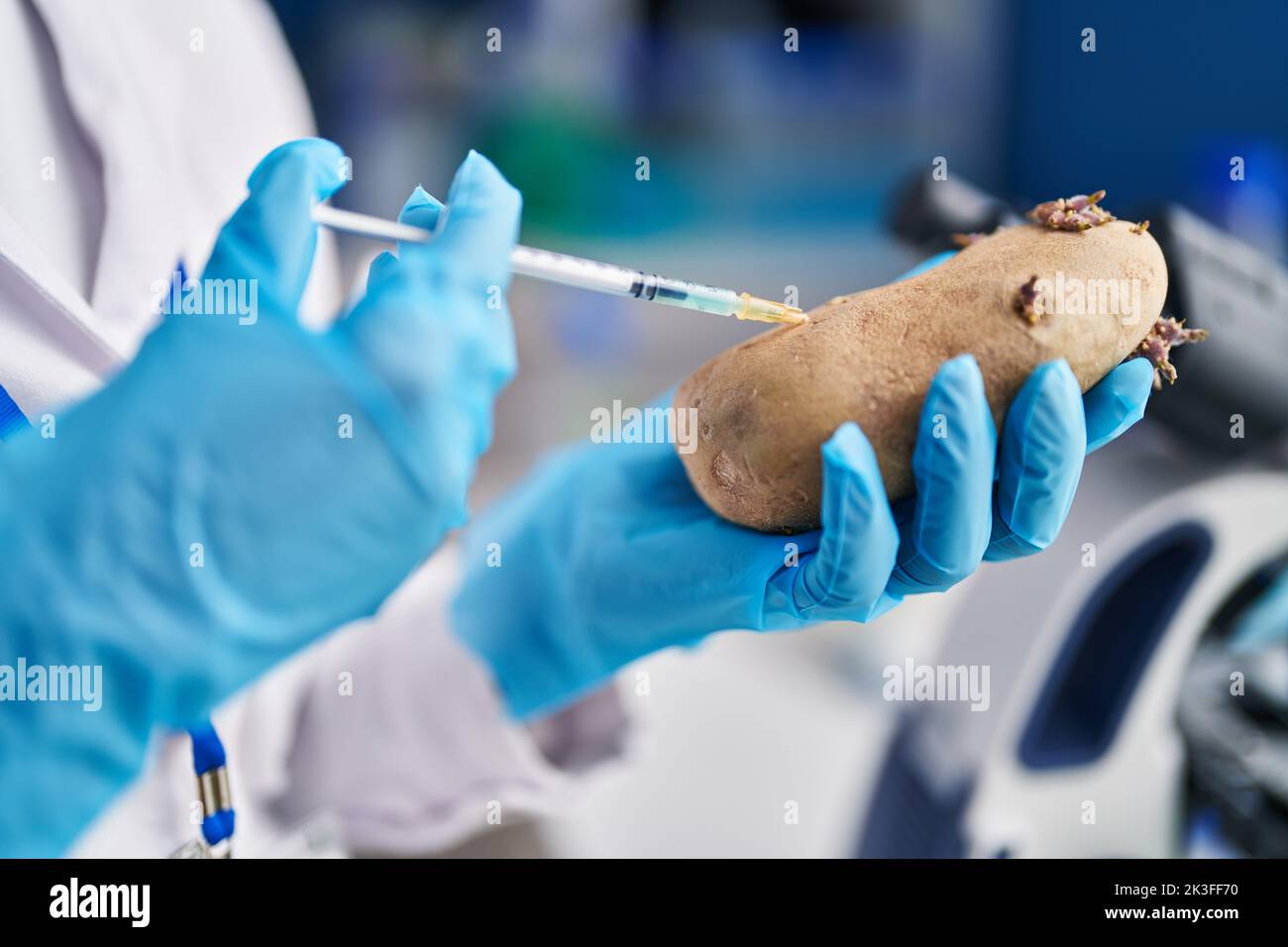 African american woman wearing scientist injecting on potato laboratory ...