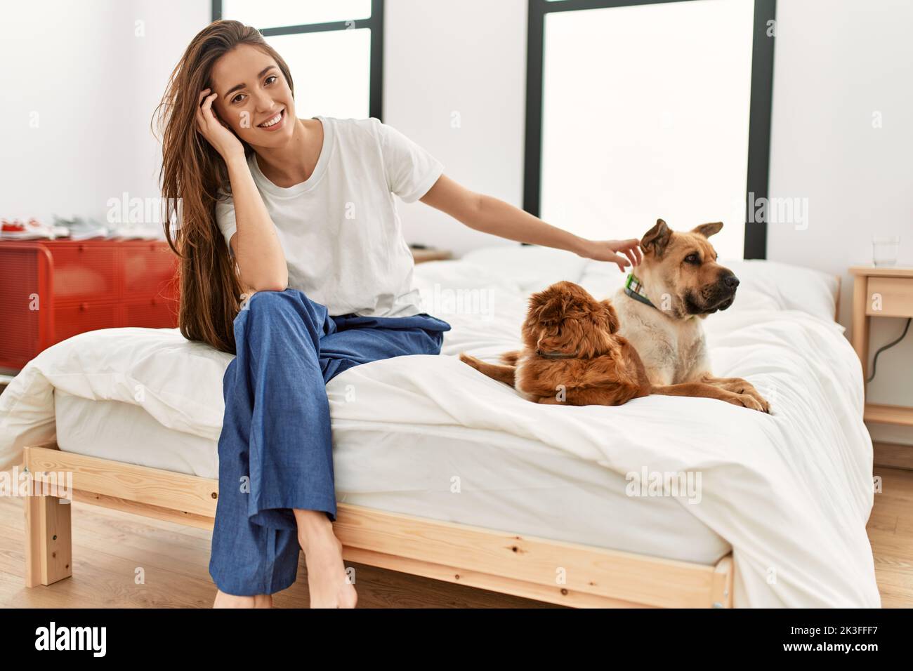 Young hispanic woman smiling confident sitting with dogs on bed at ...