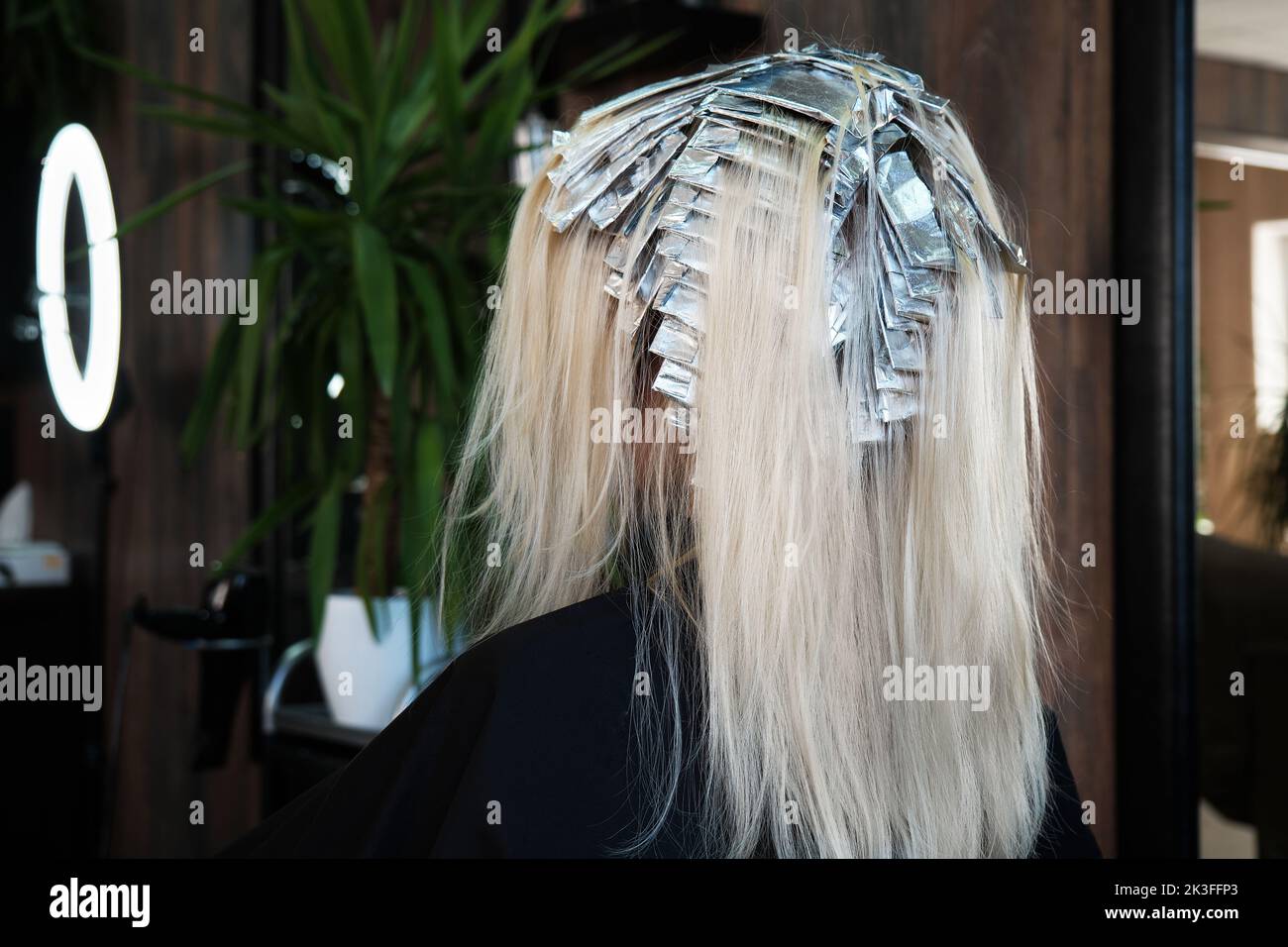 A young woman in a hairdressing salon dyes her hair blond. Hair ...
