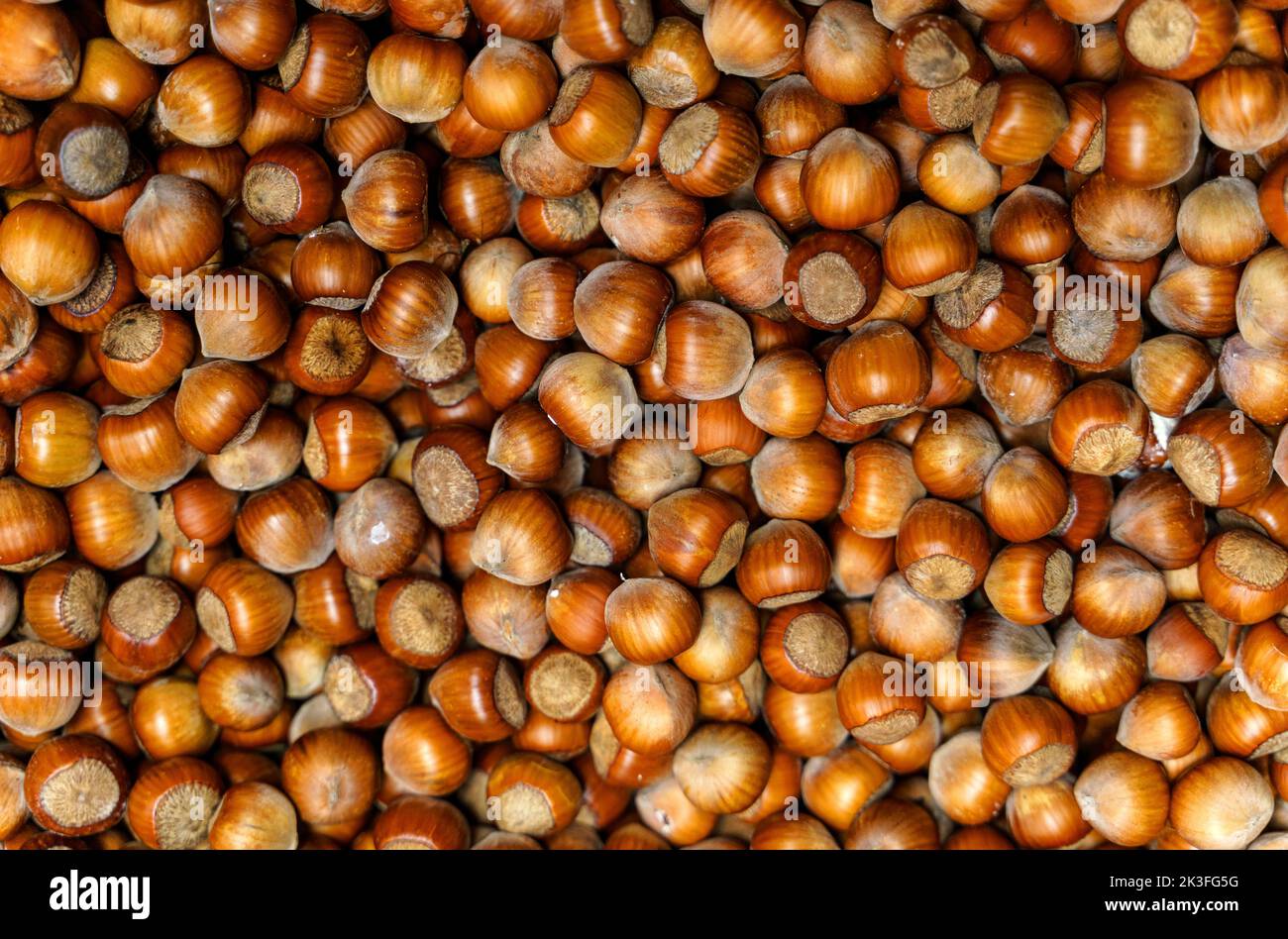 Texture and backgrounds. Solid background of hazelnuts. Top view, close ...