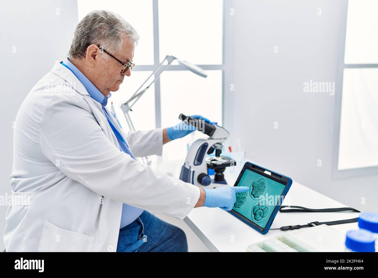 Middle age grey-haired man wearing scientist uniform looking embryology ...
