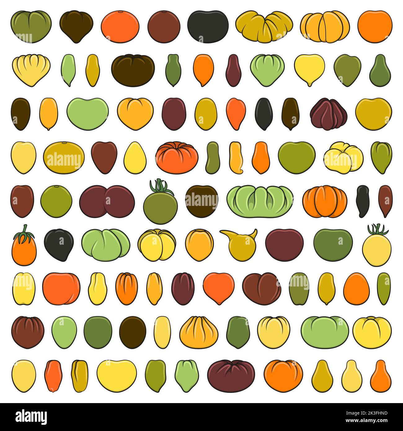 Set of color illustrations with tomatoes of various varieties and ...