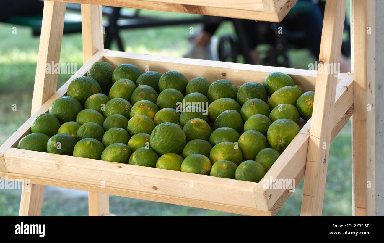 Box of limes hi-res stock photography and images - Alamy