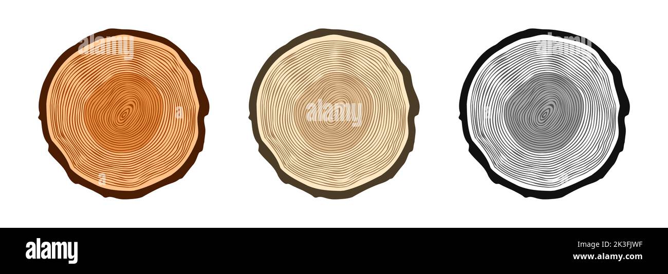 Round tree trunk cuts in various colors, sawn pine or oak slices ...