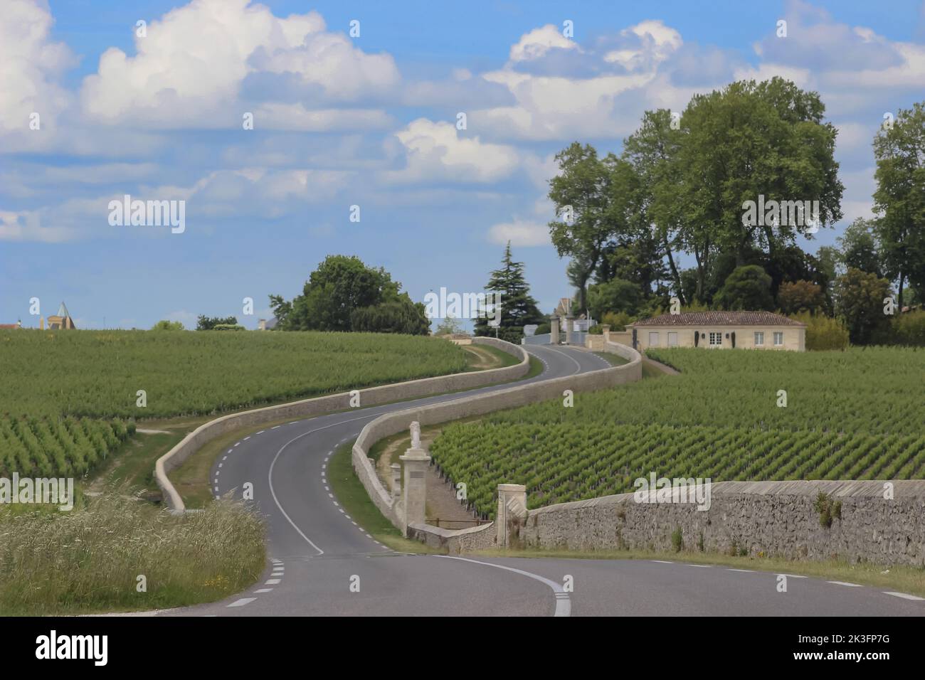 Winding road through the Haute Medoc vineyards on a sunny day Stock ...