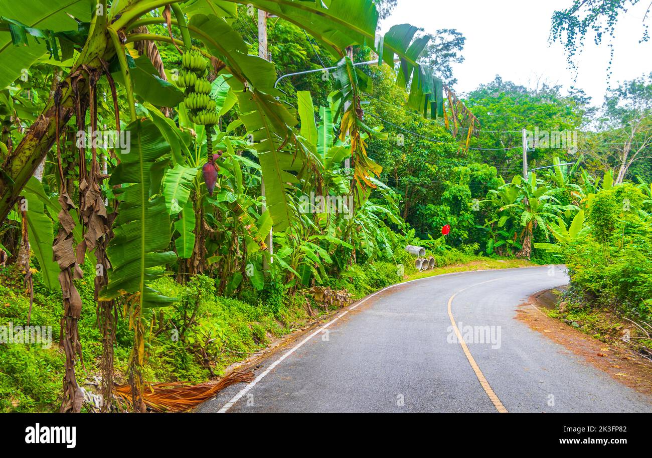 Landscape and cityscape panorama with street road cars building houses ...