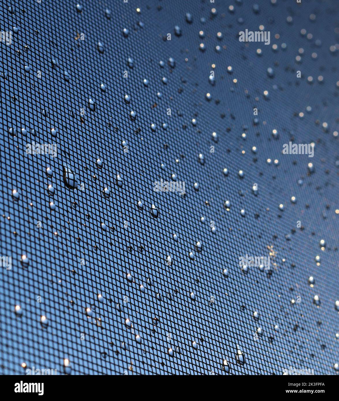 Mesh screen hi-res stock photography and images - Alamy