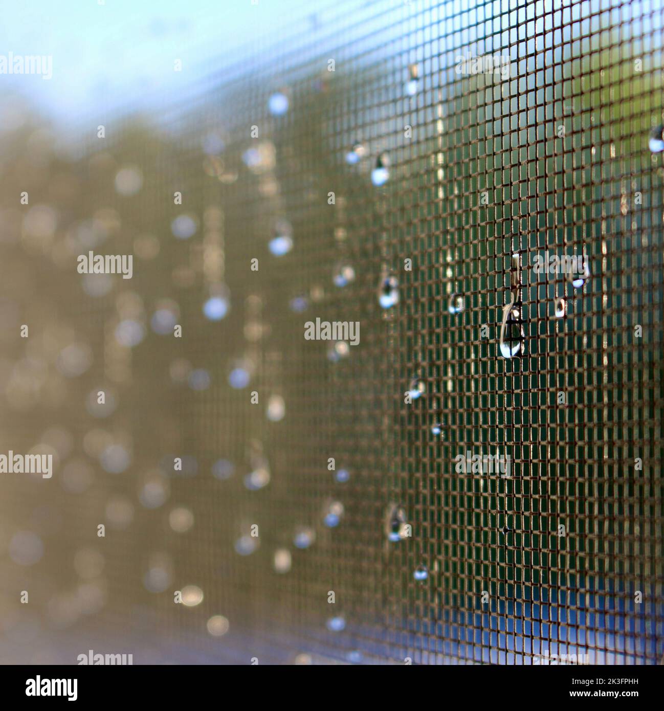 Raindrops on mesh screen Stock Photo - Alamy