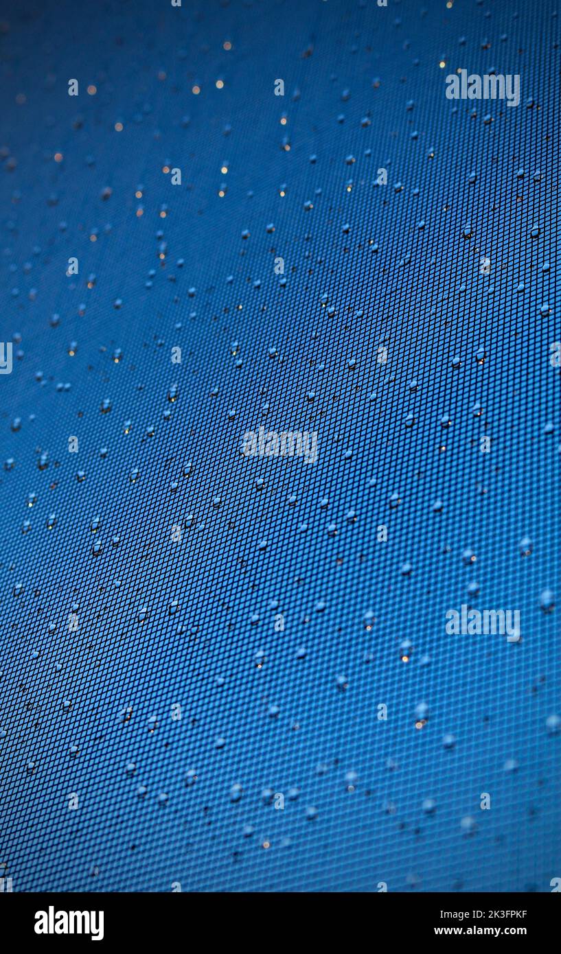 Raindrops on mesh screen Stock Photo - Alamy