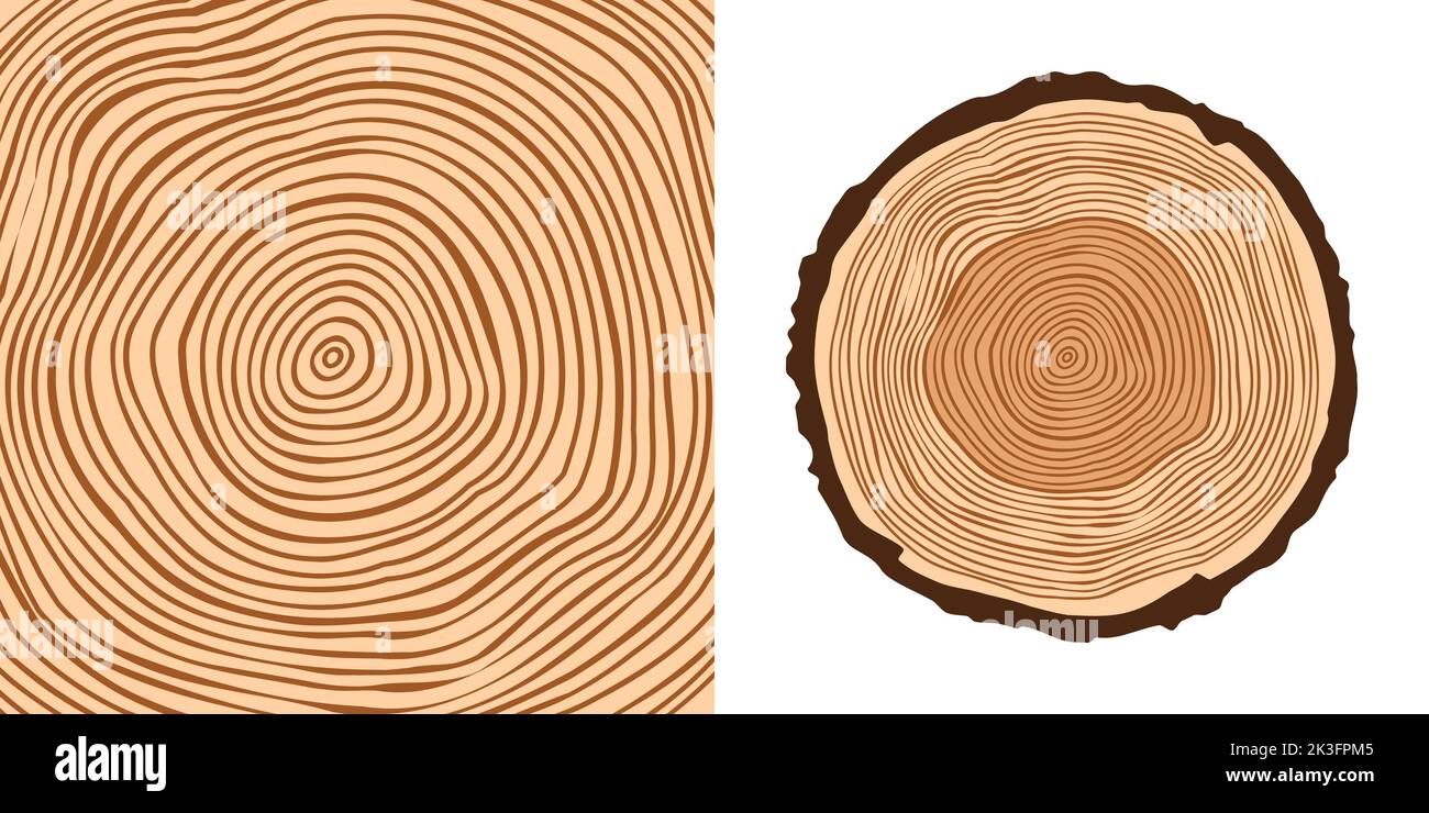 Round tree trunk cut, sawn pine or oak slice. Saw cut timber, wood ...